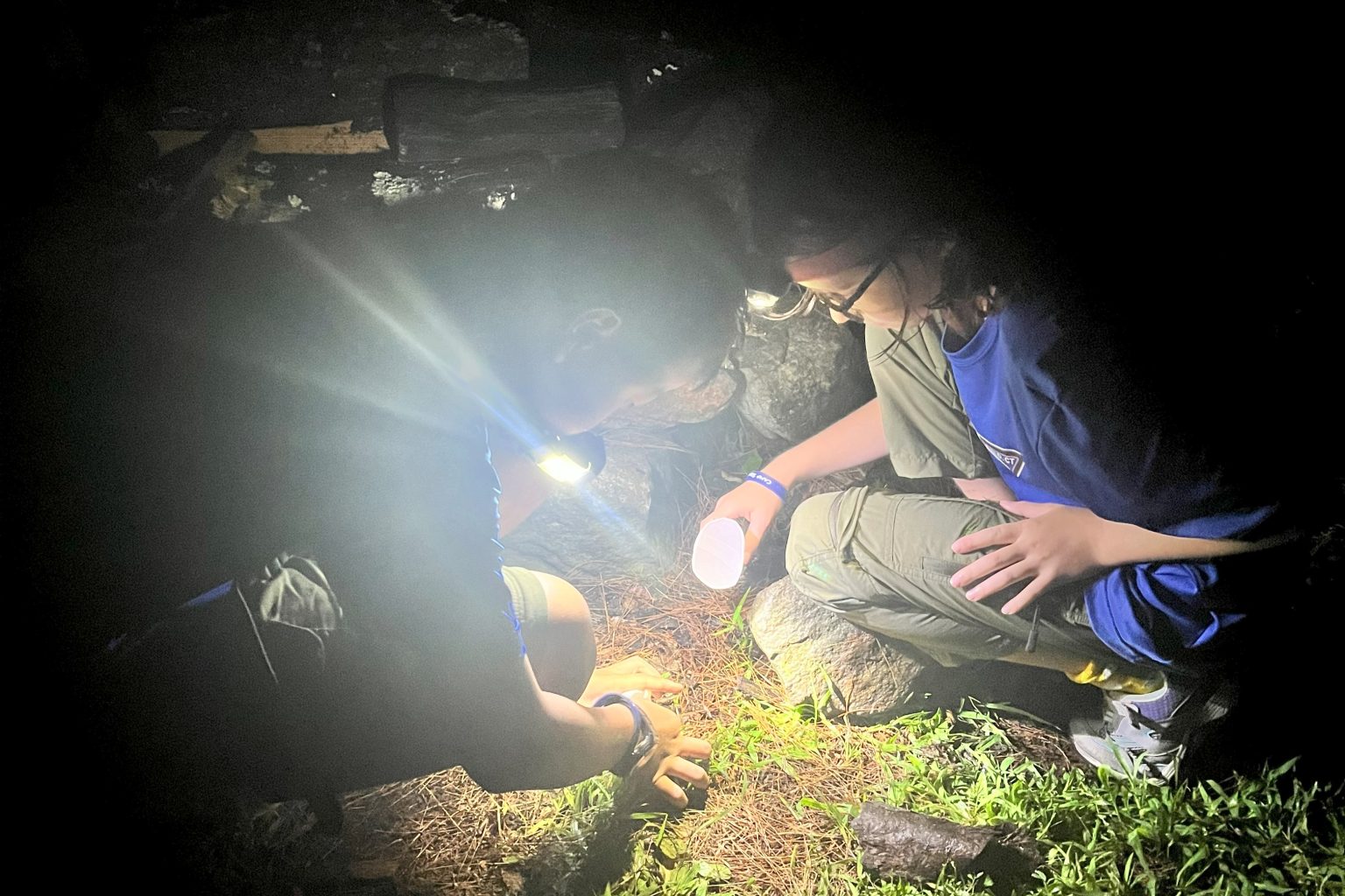 Ecology - Camp Sequassen